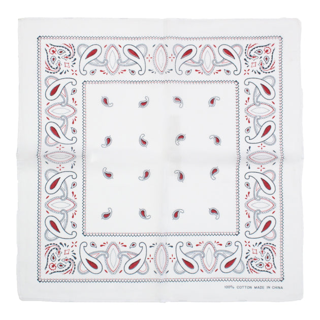 Alternative Paisley Bandana – Zacharia Accessories